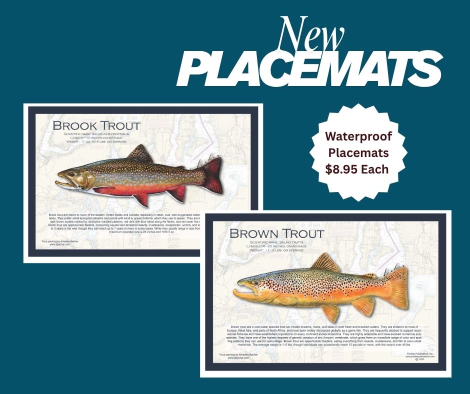 New Fish Placemats! – ProStar Publications